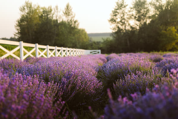 Shot on Canon EOS R5 Mark II by Mark Ulman | 500px