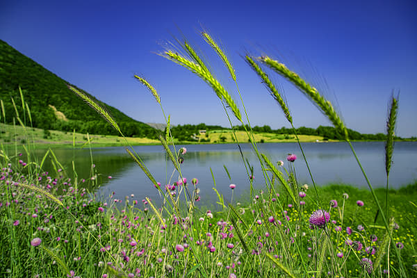 Scenic view of lake against clear blue sky by vahidshojaei52 | 500px