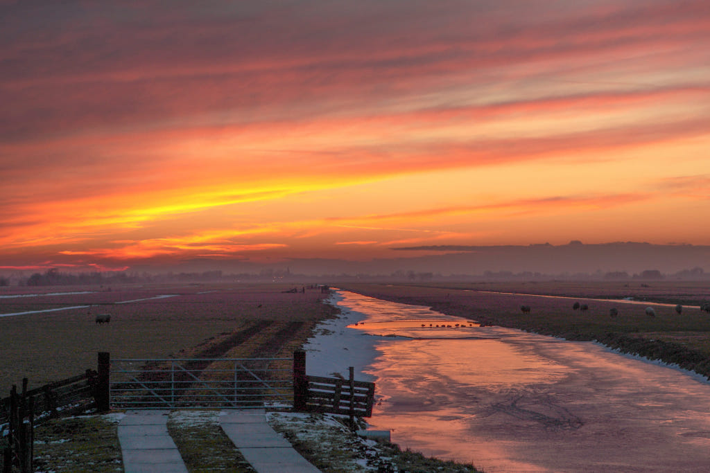 Amazon Sunset by Pat Reilly | 500px