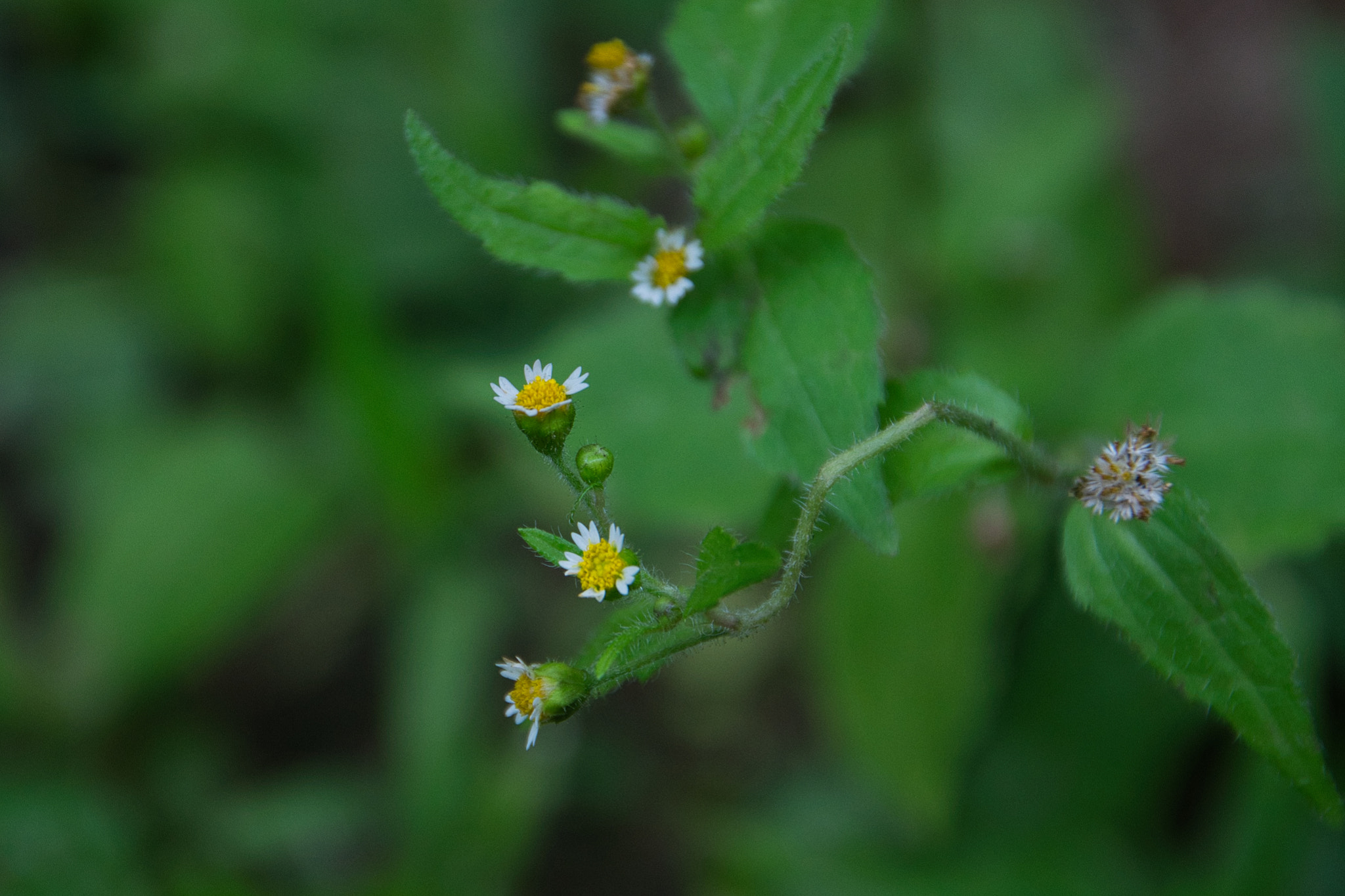 DSC07134 by David | 500px