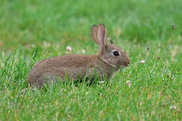 A real sweetie by Monika Magdalena Małecka | 500px