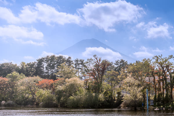 Vasile-Simion Sularea's Photos & Galleries | 500px