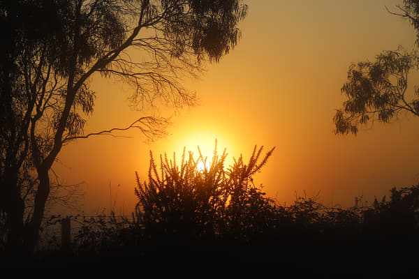 Morning Fine! by Bruce Prothero | 500px