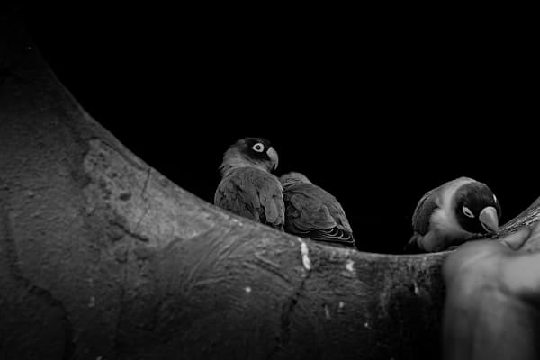 The Shock of Connection by Andres Cornejo | 500px