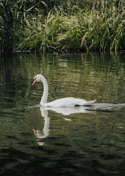 Shot on Canon EOS R5 Mark II by Mark Ulman | 500px