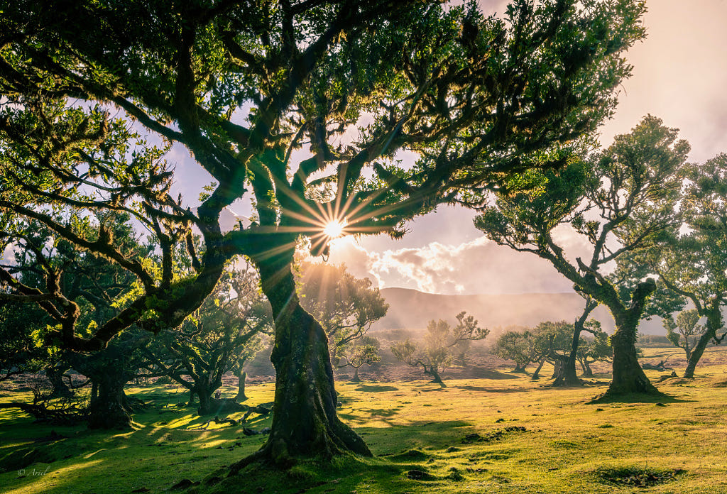 e950e490-6ea4-11f0-a789-d1ea82c4900d.jpg by Himitsu Hime | 500px