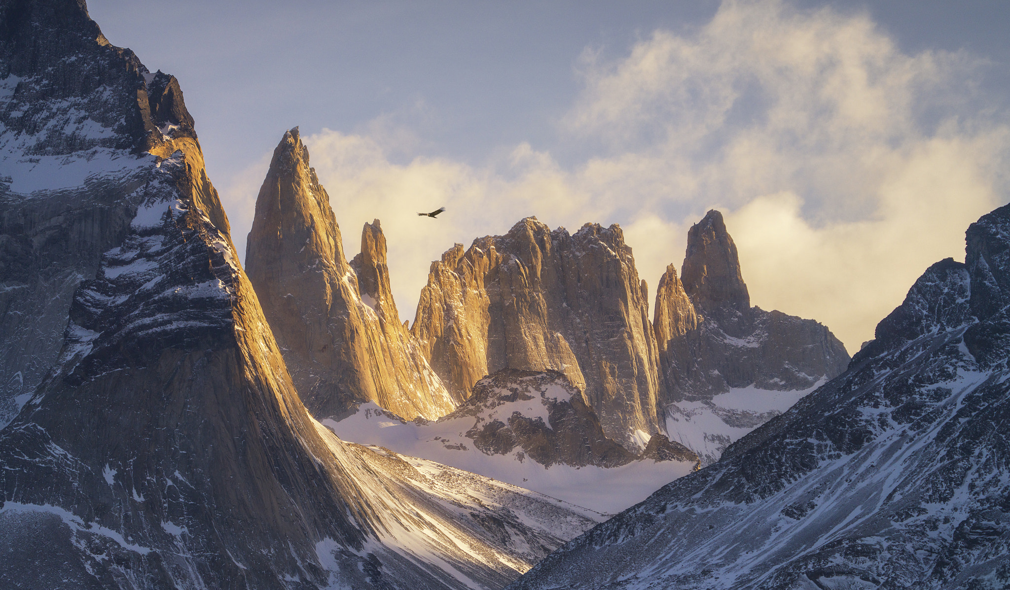Code-named Condor by Timothy Poulton | 500px