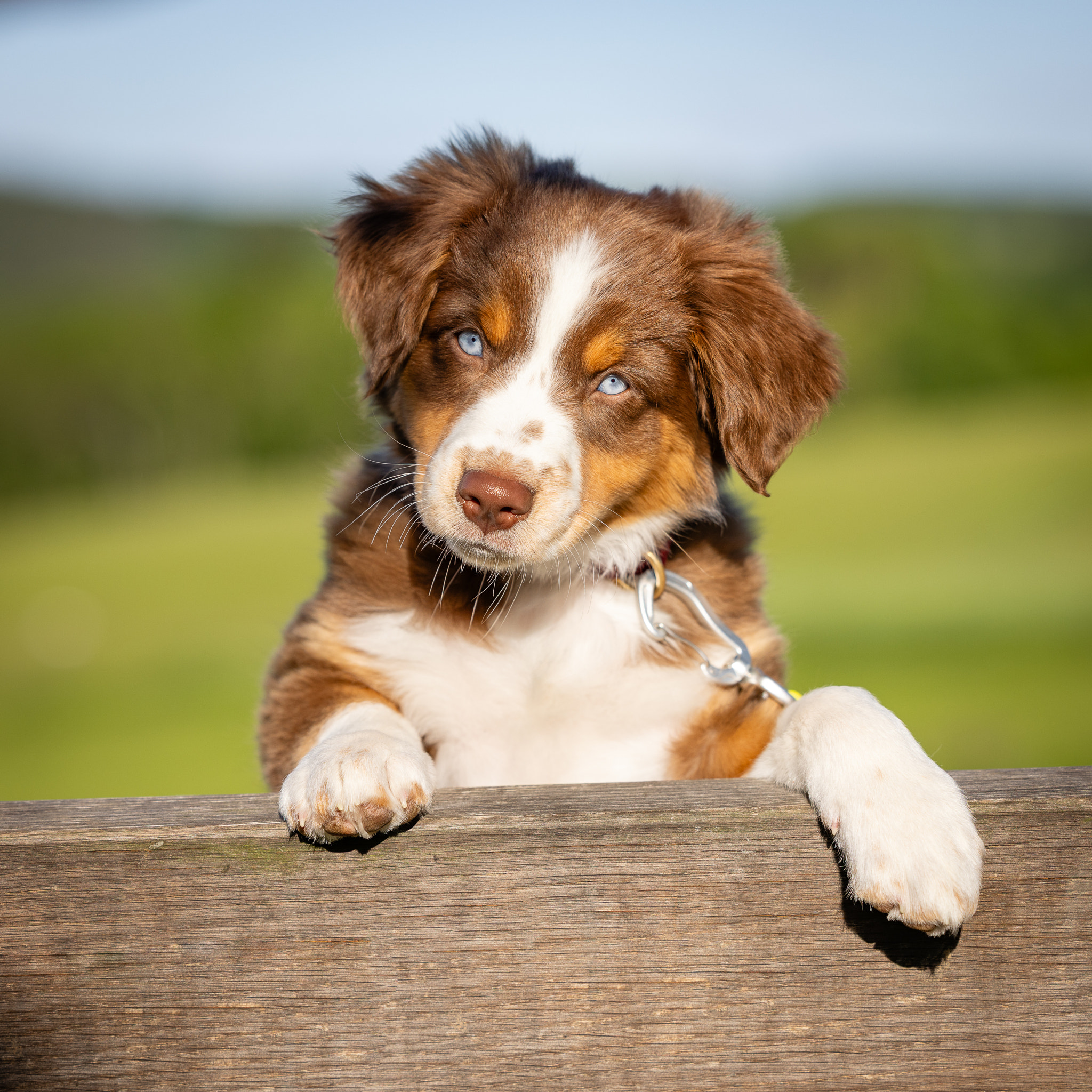 Elsi 2 by Dirk M. | 500px