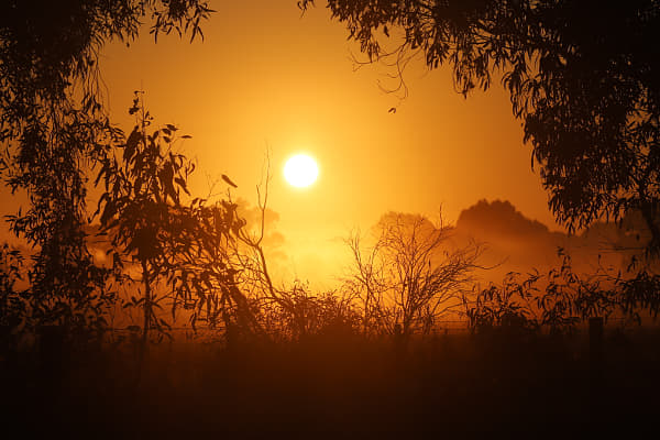 Morning Delicacy! by Bruce Prothero | 500px