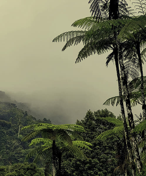 Amidst the Mist by Debbie Scott-Queenin | 500px