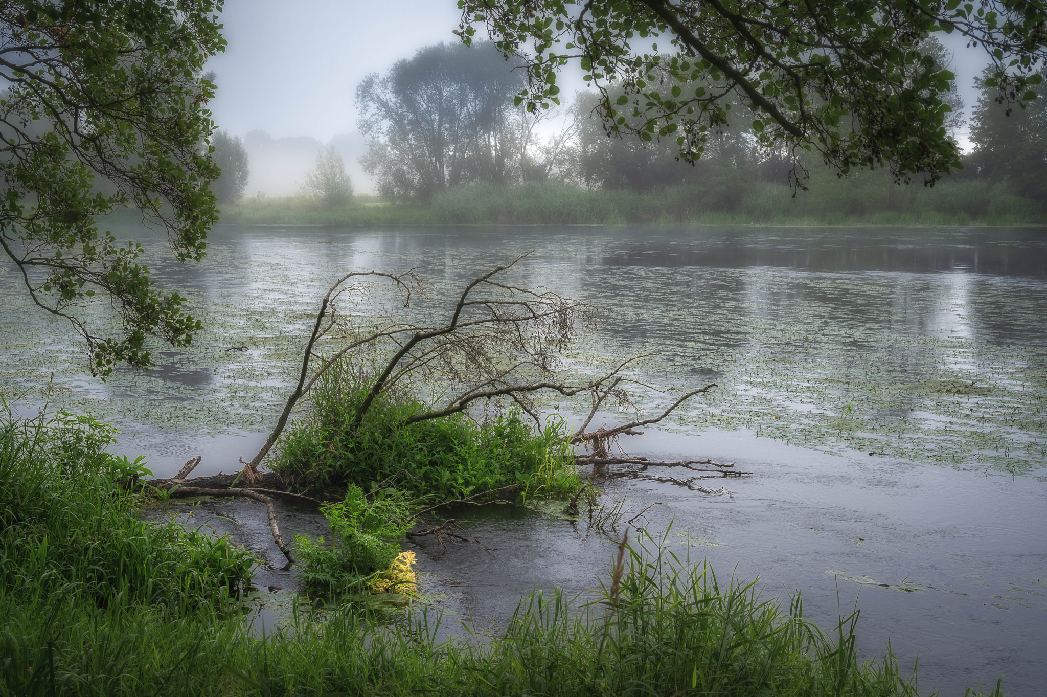 a morning at the river 5232 by Hans Zitzler | 500px