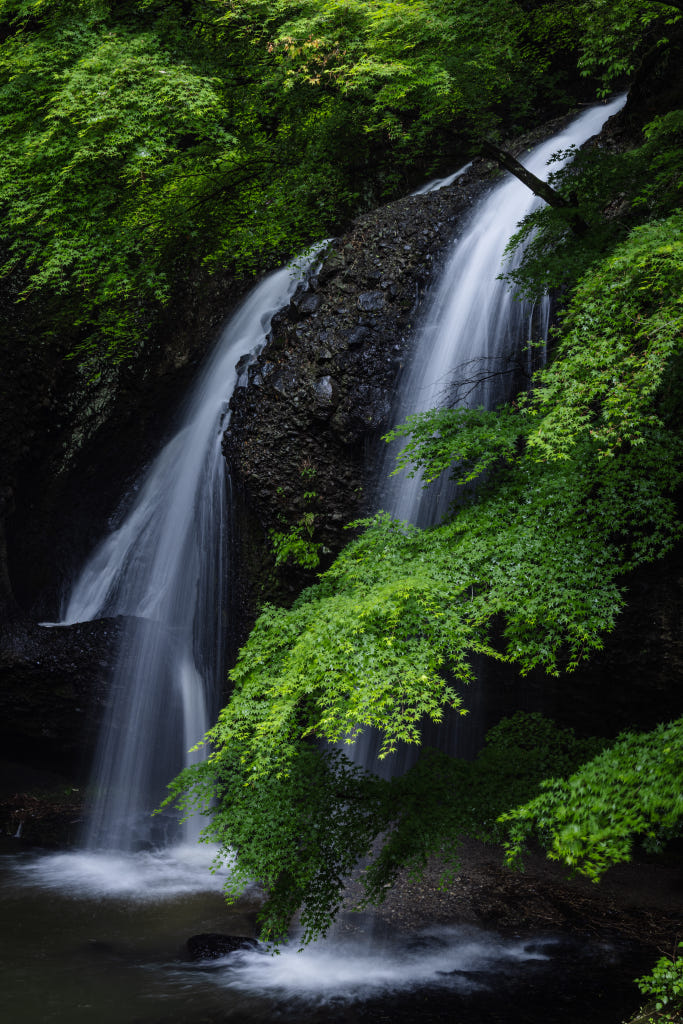 Cool Breeze Waterfall by 寺井 健紀 | 500px