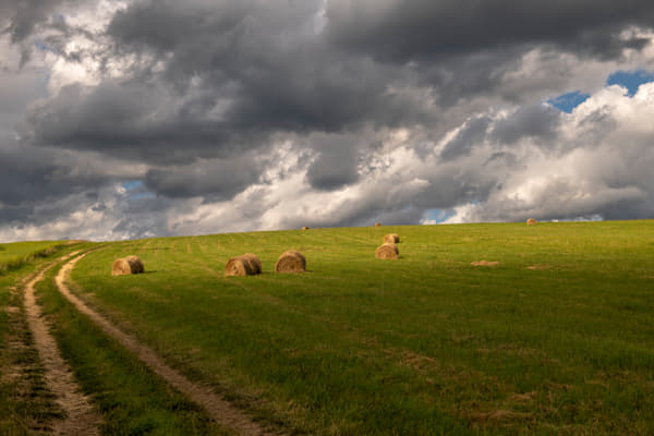 Field path by Peter Orlický | 500px