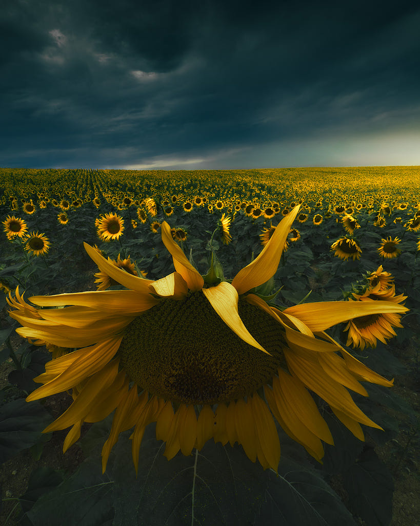 Nude Woman Kneeling on Floor in Modern Apartment | people photo by ...