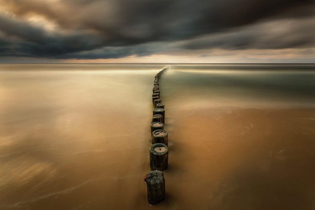A whale diving amongst the Icebergs by Ian Schofield | 500px