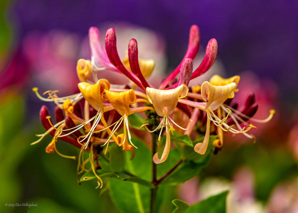 Nude Woman Kneeling on Floor in Modern Apartment | people photo by ...
