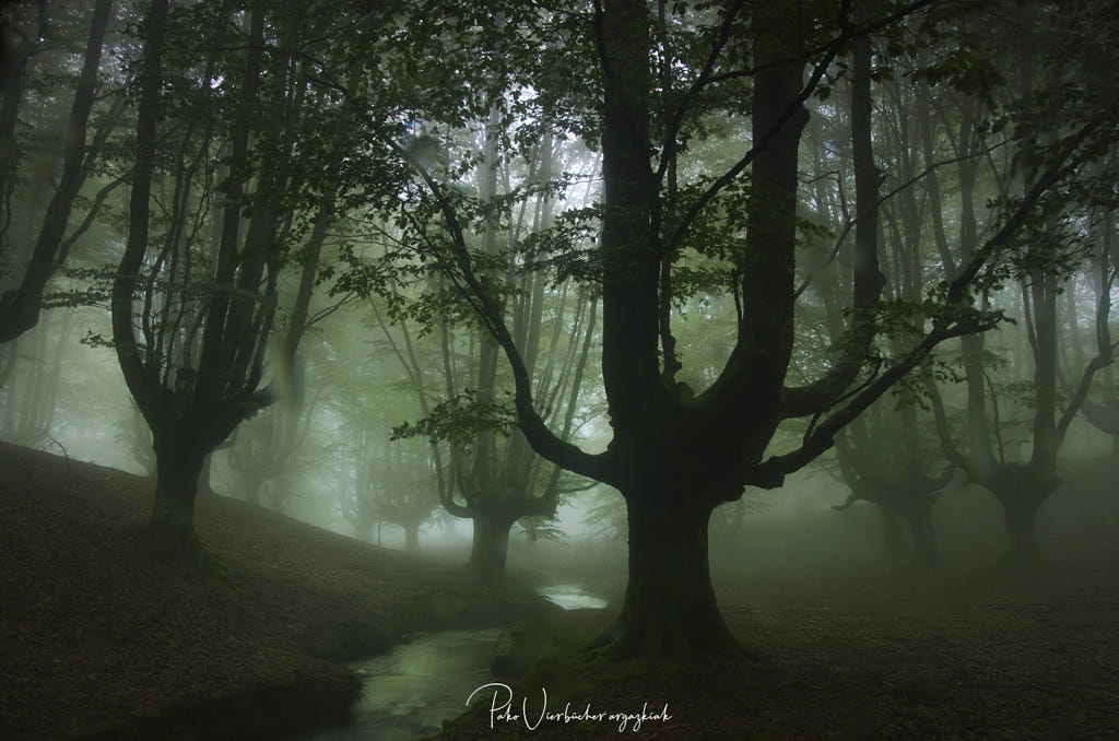 London, Midland and Scottish Railway Stanier Class 5 4-6-0 by Markus ...