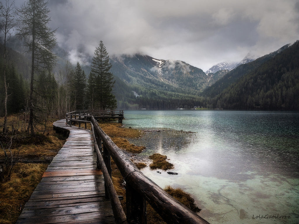 Old manor trees by Leo van der Sanden | 500px