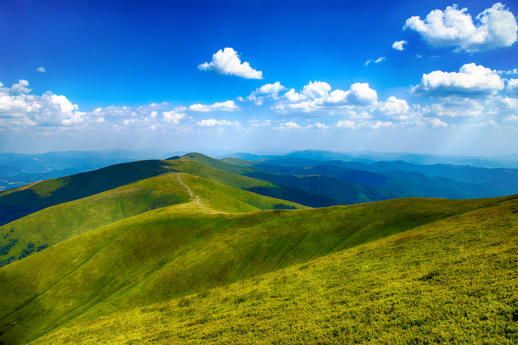 戴胜鸟 by Mei Ruo Qing Xuan | 500px