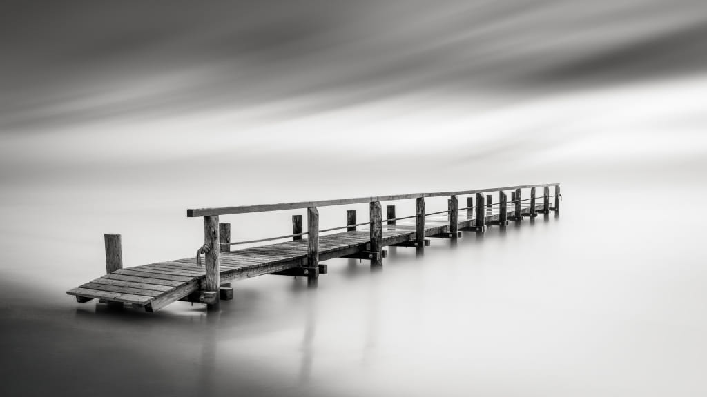 Ruby-Throated Hummingbird (Archilochus colubris) by Steve Steinmetz | 500px