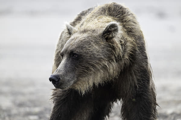 Just Looking Around by Charles Landis | 500px