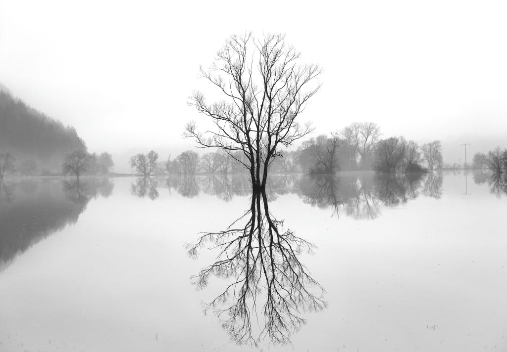 Anti-personnel high explosive mine printed on 3D printer Mine created ...