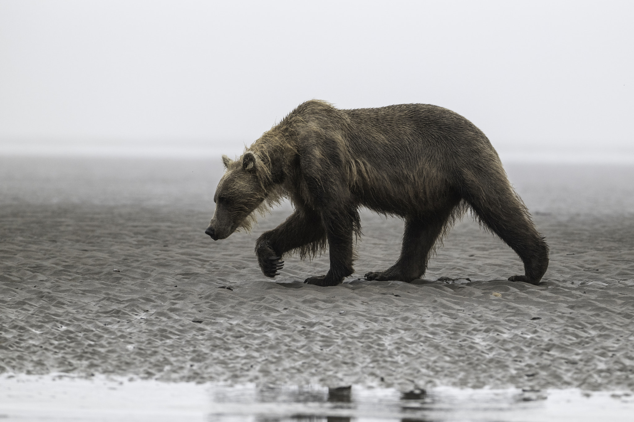 Just a Walk in the Park by Charles Landis | 500px