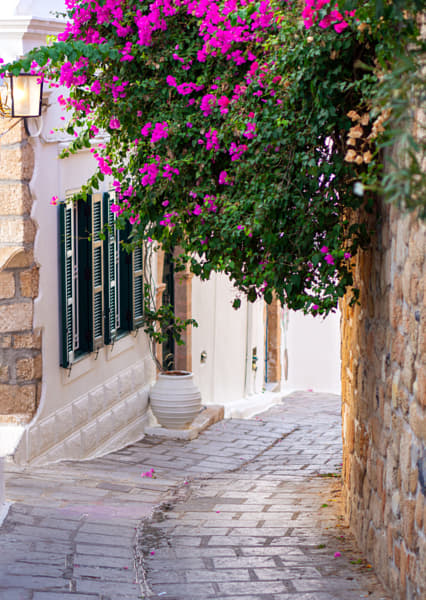 Beneath the Veil of Bougainvillea by George Raptis | 500px