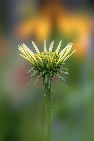 Summer-2025-3 by Yong Ki Park | 500px