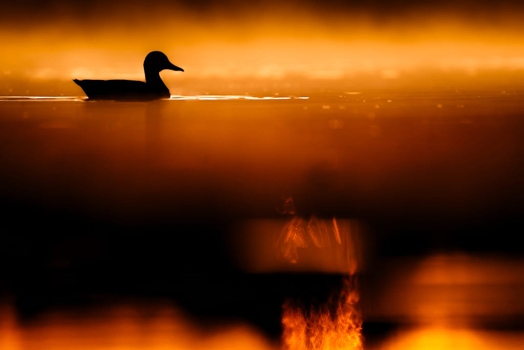 Russian model by Mr. Lovemusic | 500px