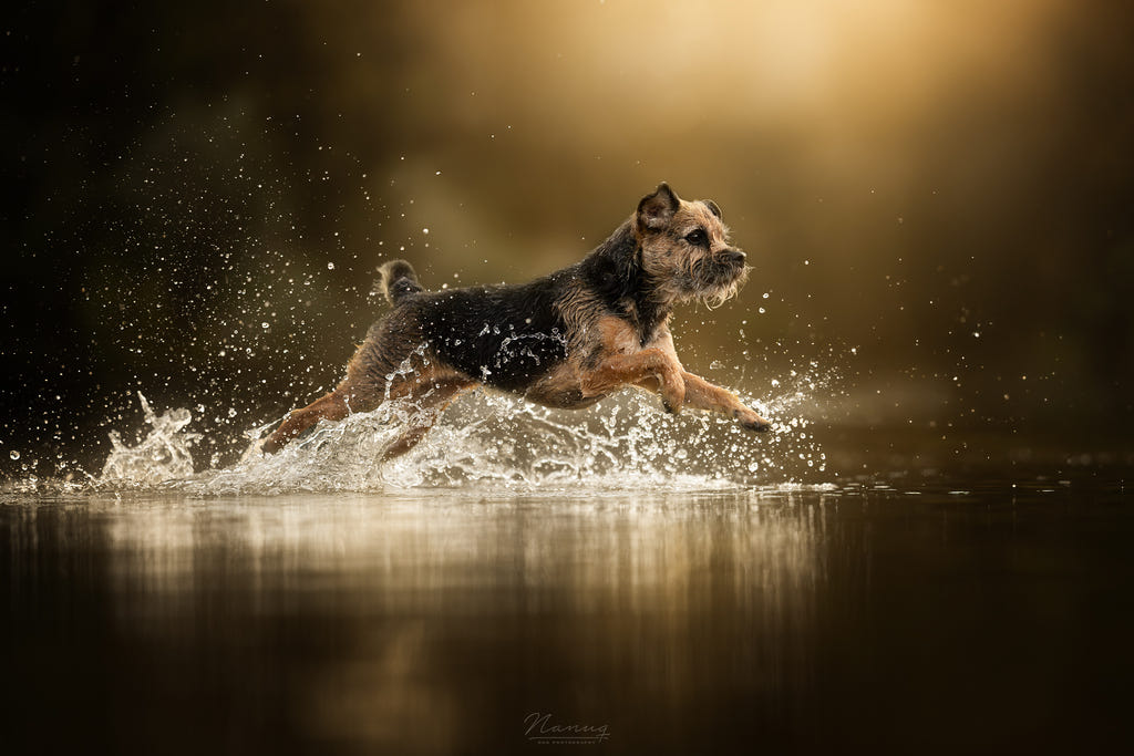 Nah Nah Boo Boo by Brittany Halzel | 500px