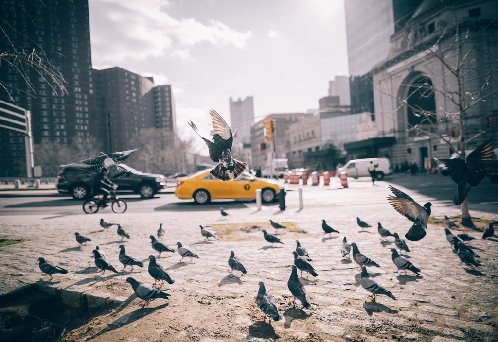 Maria by Andrej Filonenko | 500px