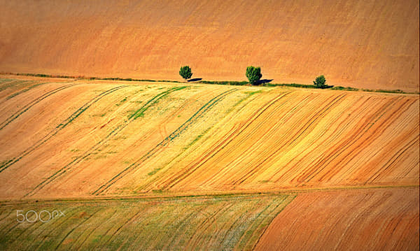 August field views by Aleks74 | 500px