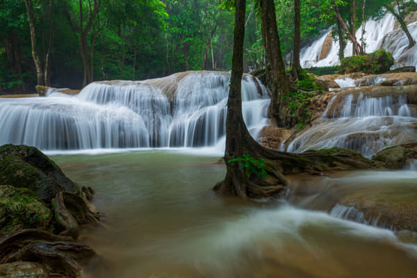 Soft by Photos of Thailand . | 500px