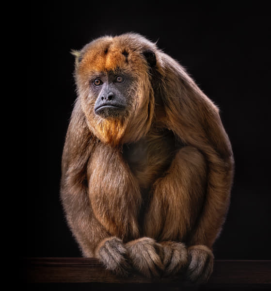 Just relax by Maureen Mackenzie Award winning Photographer | 500px