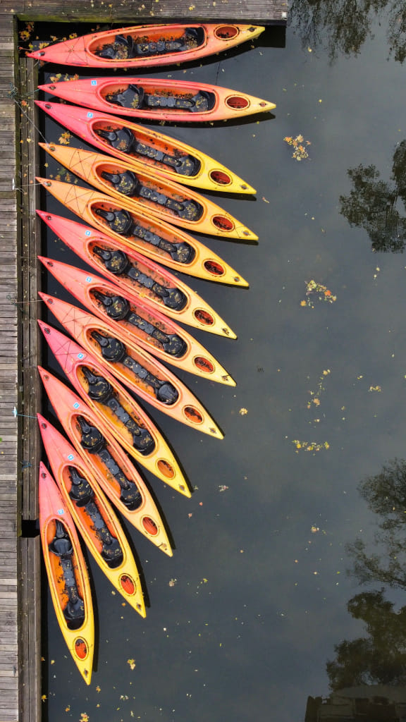 Rose Courage by Ulla Lippert Andersen | 500px