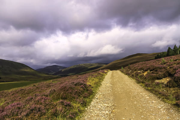 HEATHER MOOR by Hilda Murray | 500px