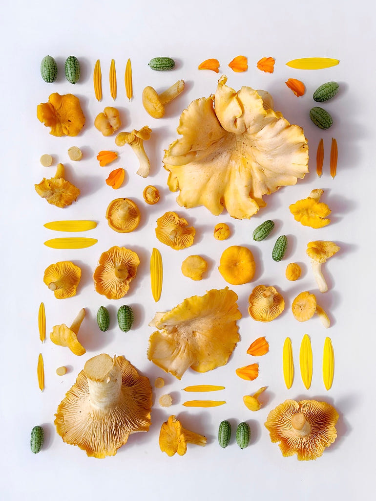 Helen by - DIM - | 500px