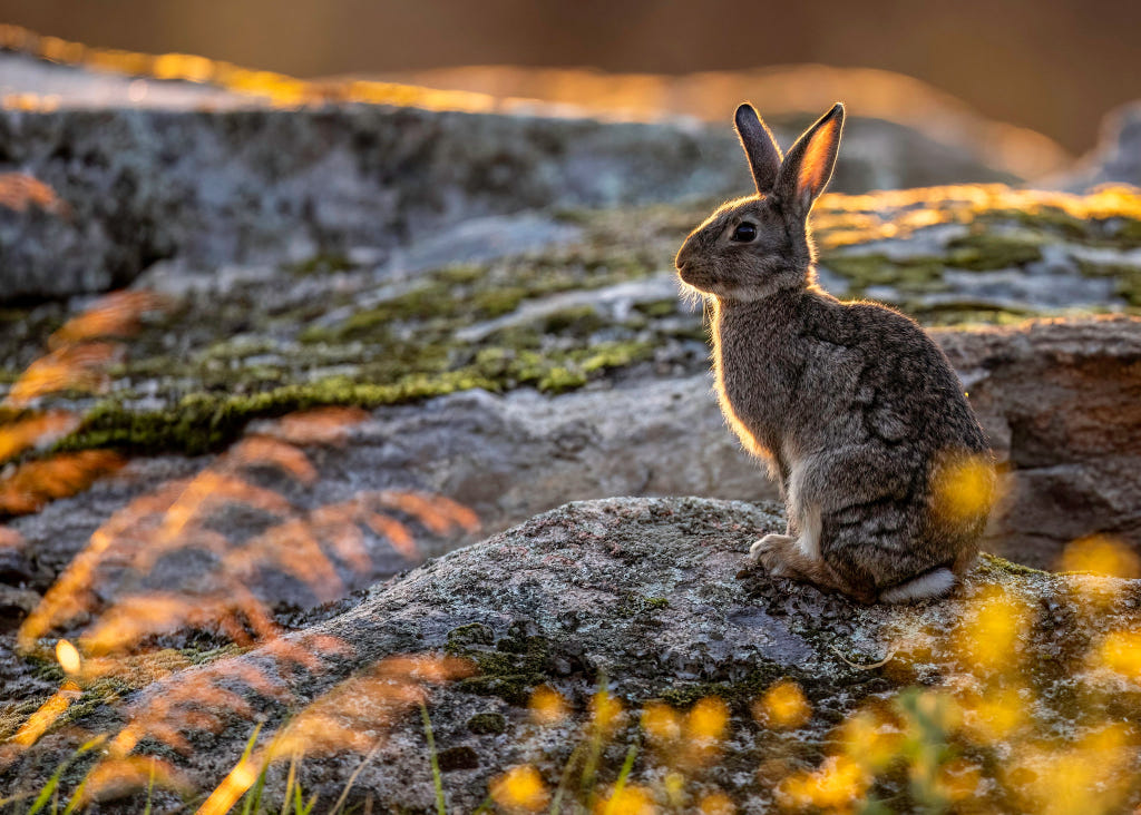 Morning Conjuring! by Bruce Prothero | 500px