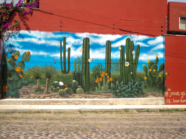 STREET PICKS-GRAFFITI by Jorge Dorantes Gonzalez | 500px