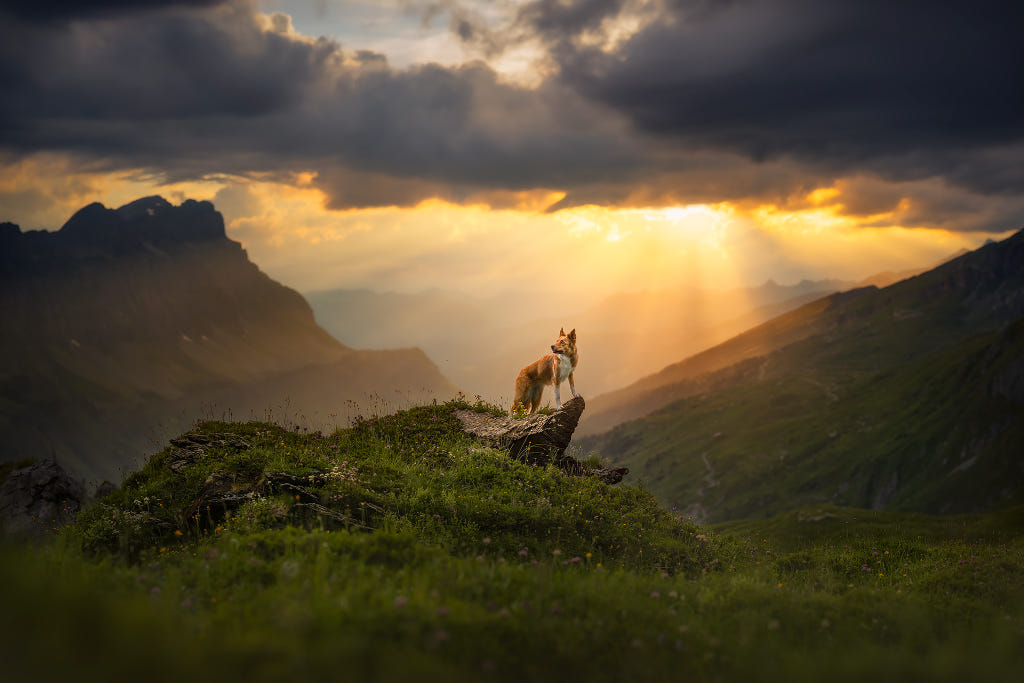 Whatcha looking at? by Maureen Mackenzie Award winning Photographer | 500px