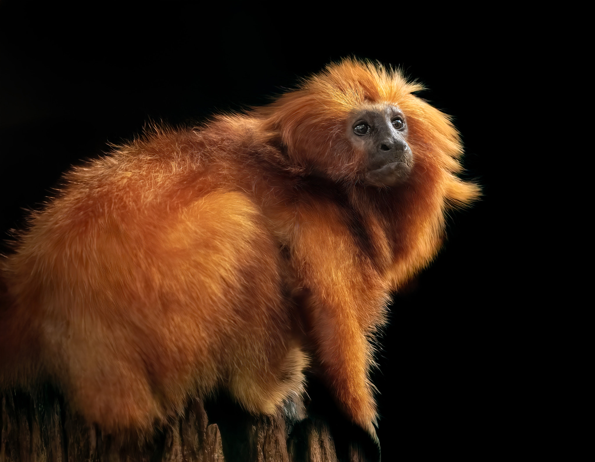 Whatcha looking at? by Maureen Mackenzie Award winning Photographer | 500px