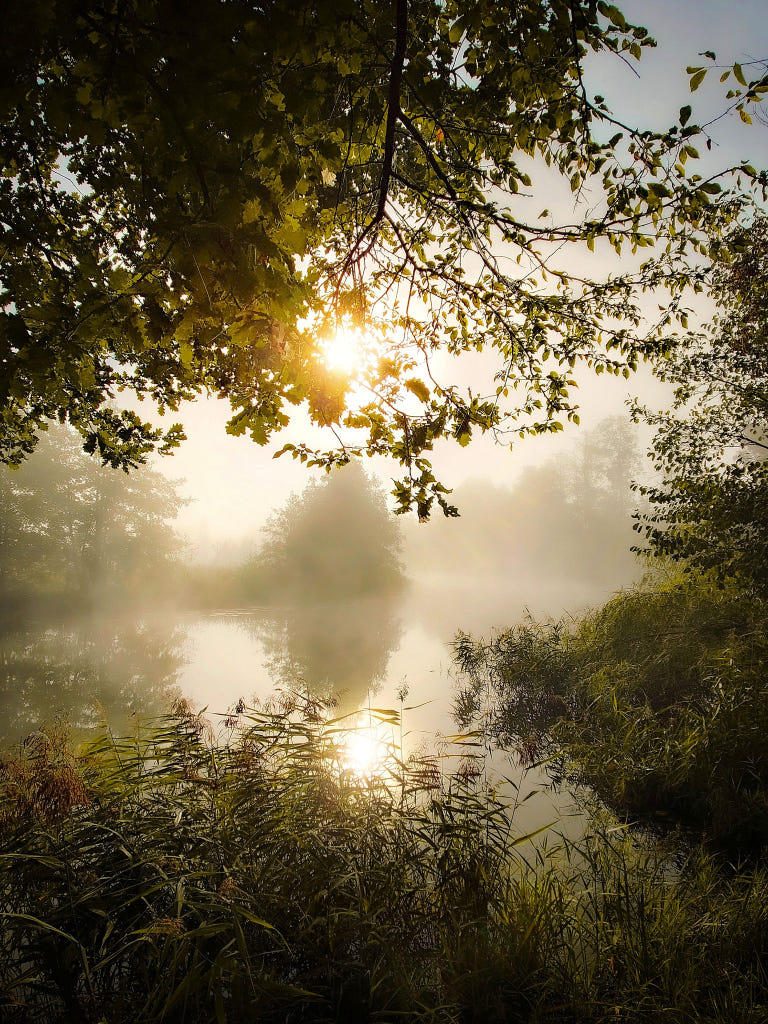 Confident Presence in an Urban Setting | people photo by Dimitris ...
