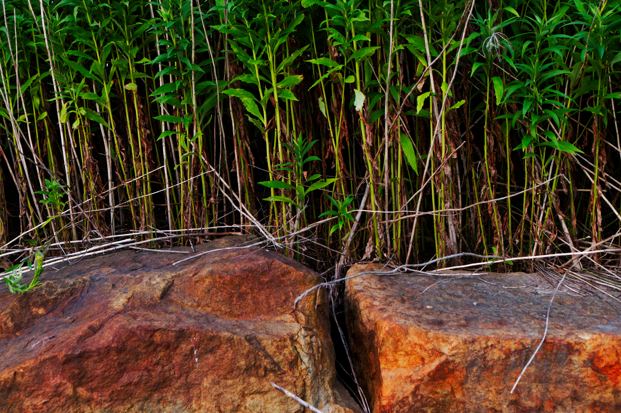 The Cut by Jean-Luc Girard | 500px