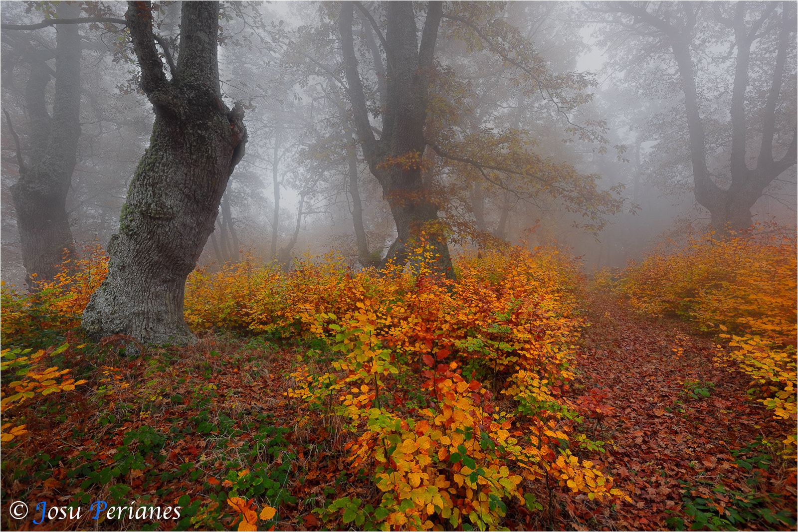 Rincones de Otoño - Autumn Corners by Josu Perianes | 500px