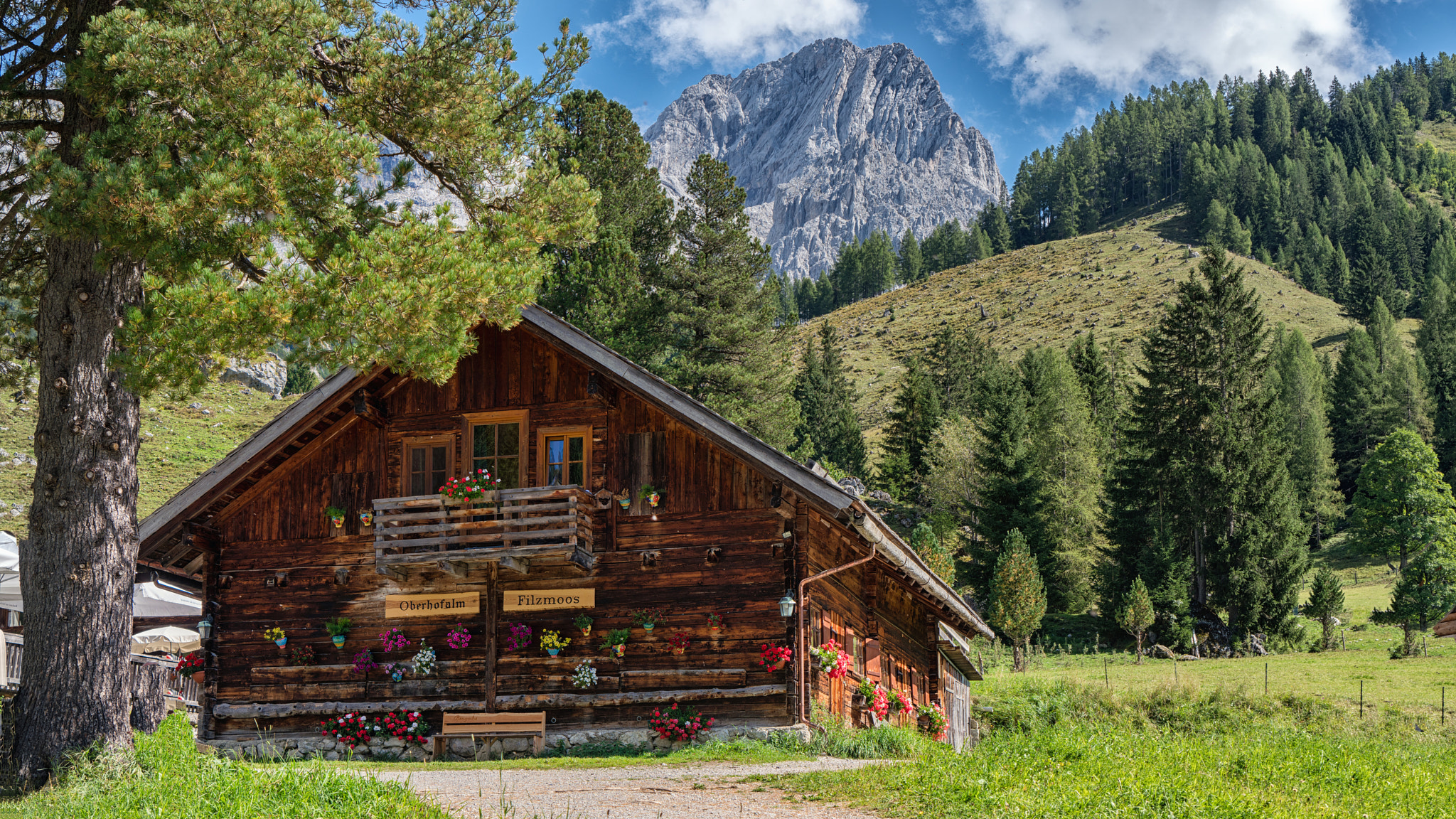 Fil z by ROMAN Wieckowski | 500px