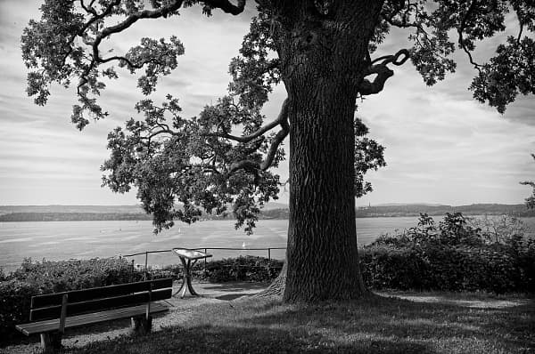 a place to relax by Andreas Streich | 500px