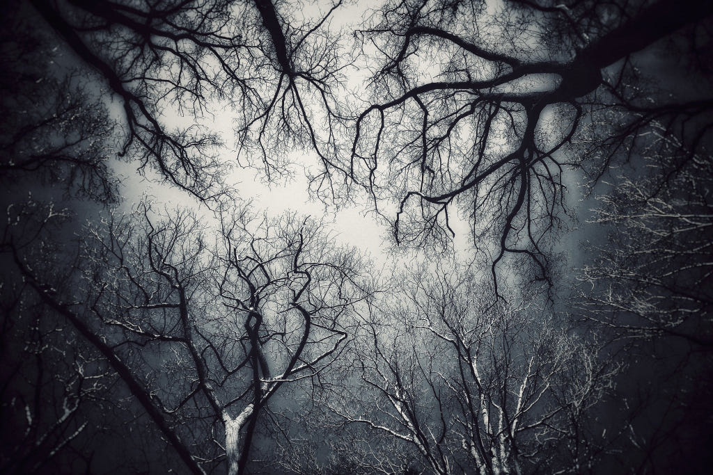 All Quests | 500px Photo Contests
