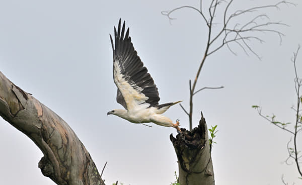Take off by Mak Hoy | 500px
