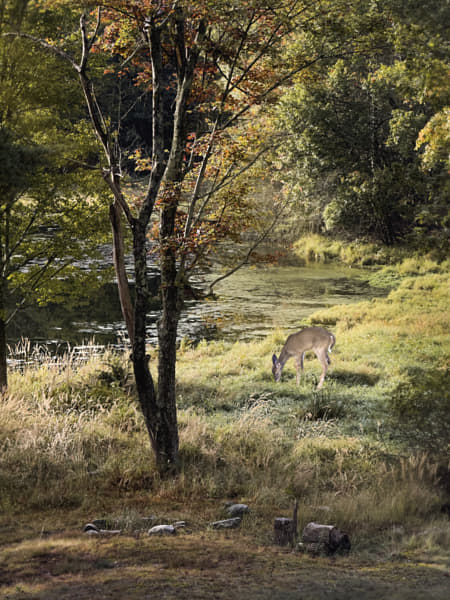 Autumn morning by Stephanie Shen | 500px